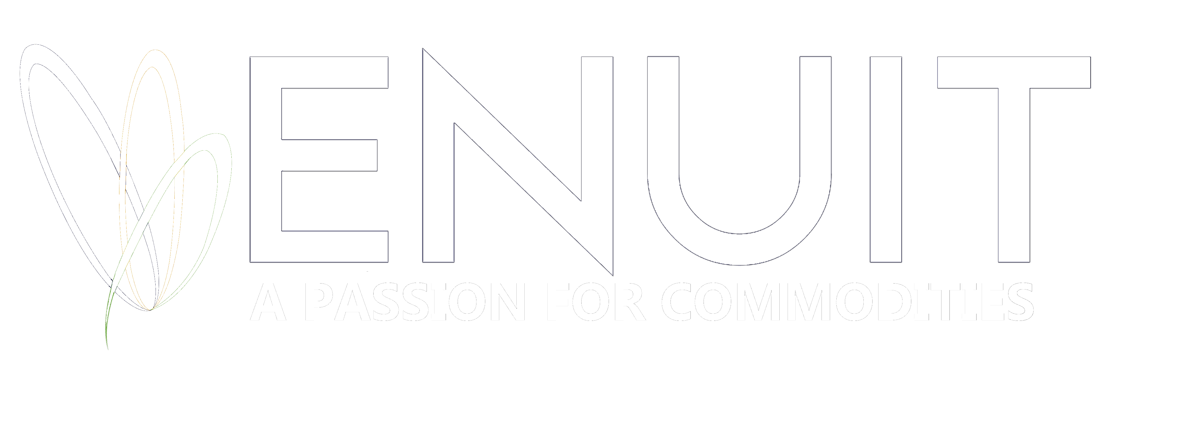 Enuit Documentation Portal